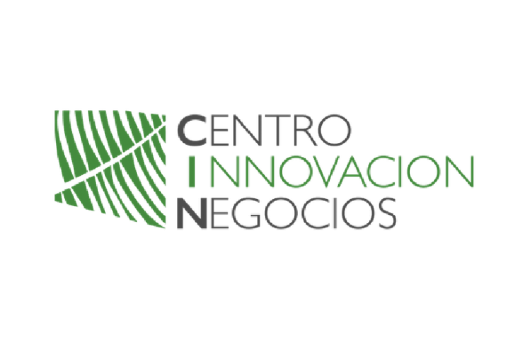 Instituto 3IE - Universidad Técnica Federico Santa María